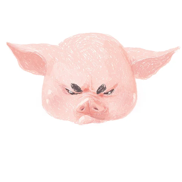Pig Face Side View