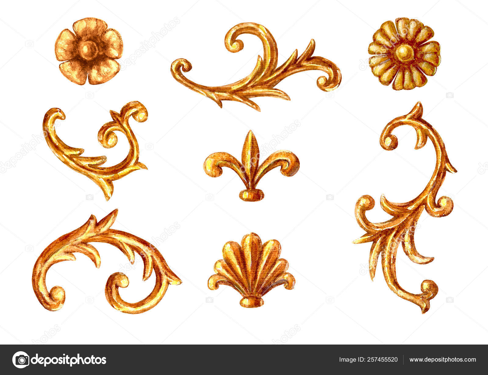 Baroque style elements. Watercolor hand drawn vintage engraving floral ...
