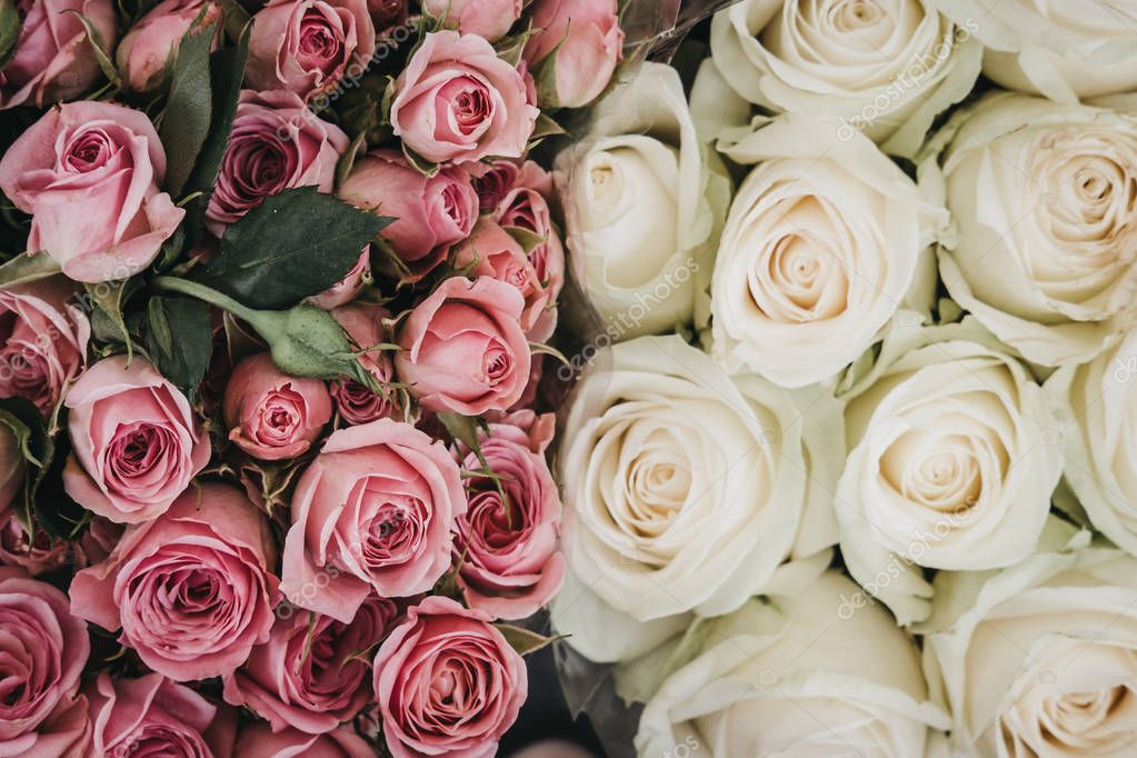 Primer plano del haz de rosas rosadas y blancas, enfoque superficial. 2023