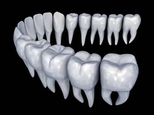 Medieval teeth Stock Photos, Royalty Free Medieval teeth Images ...