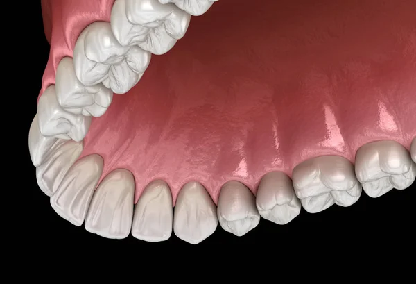 Anatomie Mandibulaire Des Gencives Des Dents Humaines Illustration ...