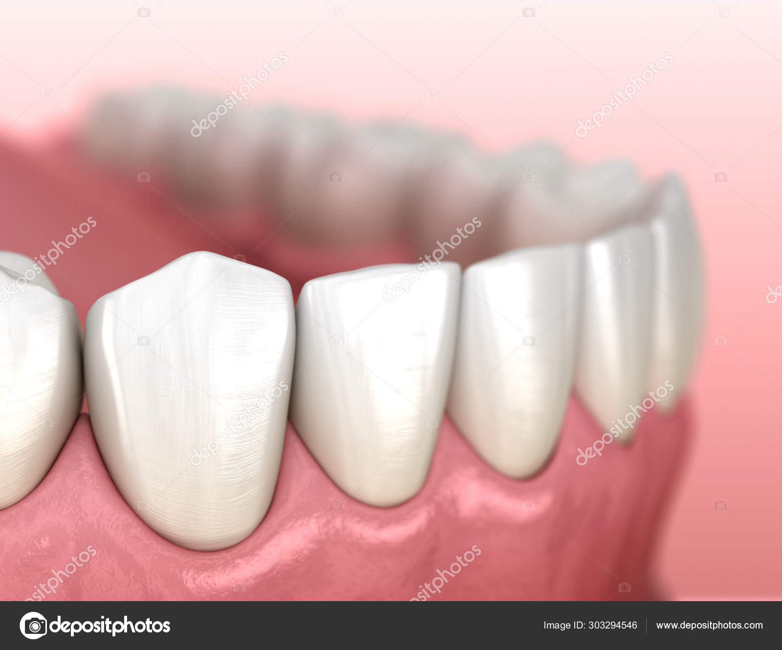 Anatomie Mandibulaire Des Gencives Des Dents Humaines Illustration ...