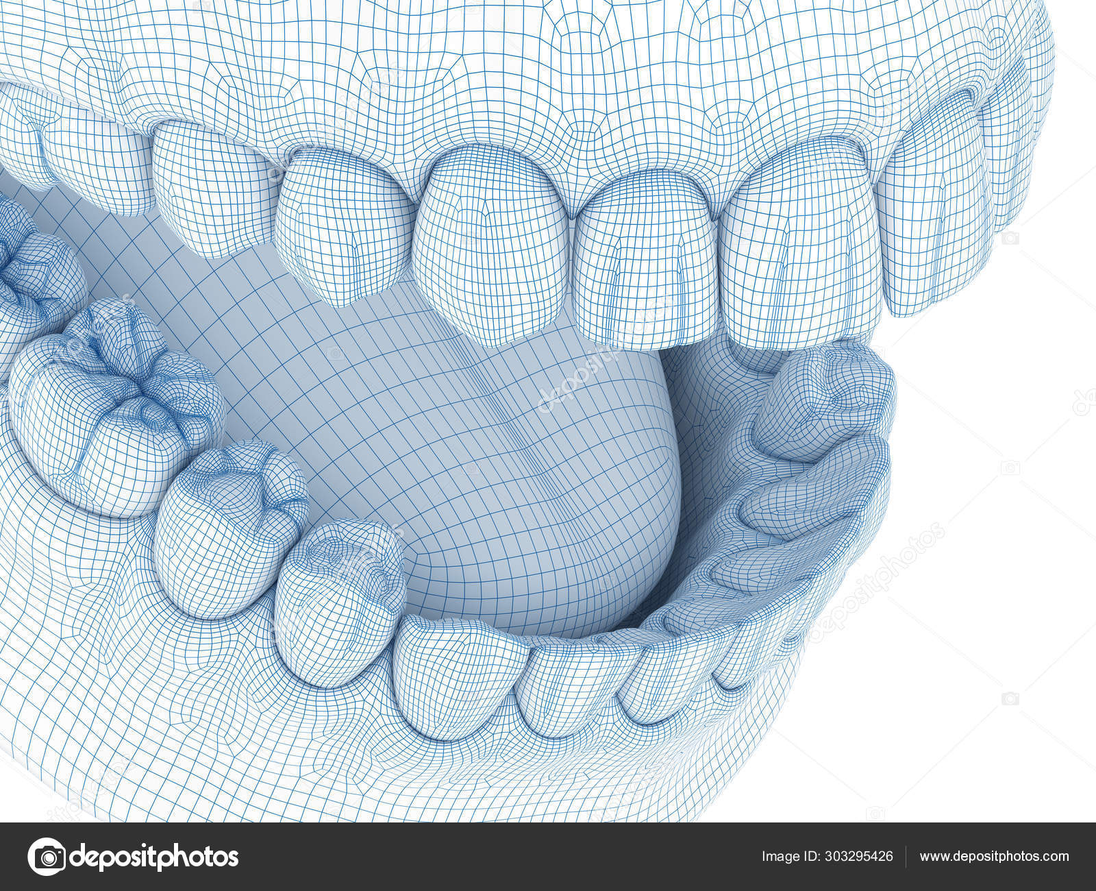 Morphologie Gencive Des Dents Humaines Mandibulaires Fil Illustration ...