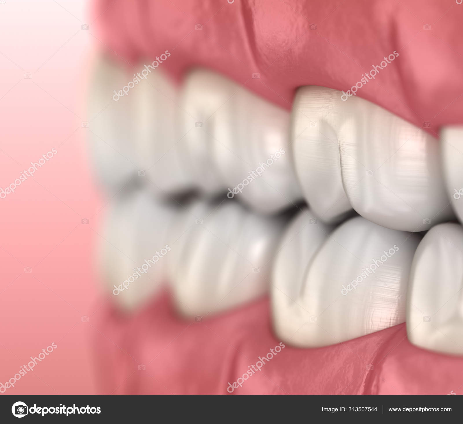 Anatomie Mandibulaire Des Gencives Des Dents Humaines Illustration ...