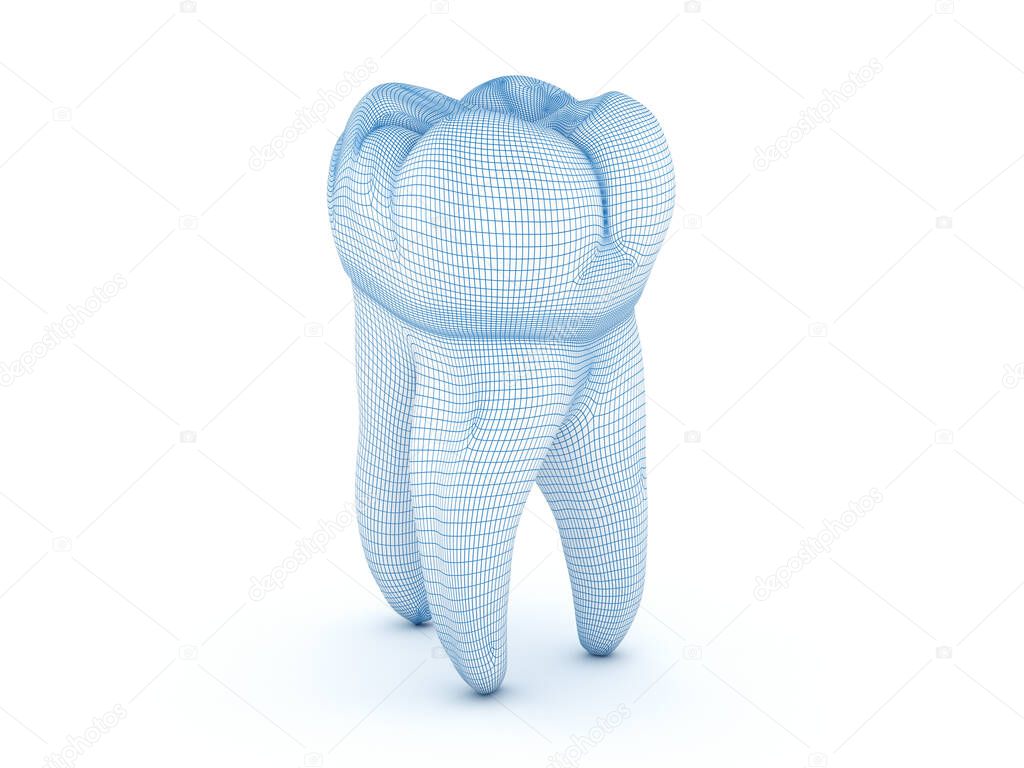Morfología Del Primer Diente Molar Maxilar Ilustración Cableada — Foto ...
