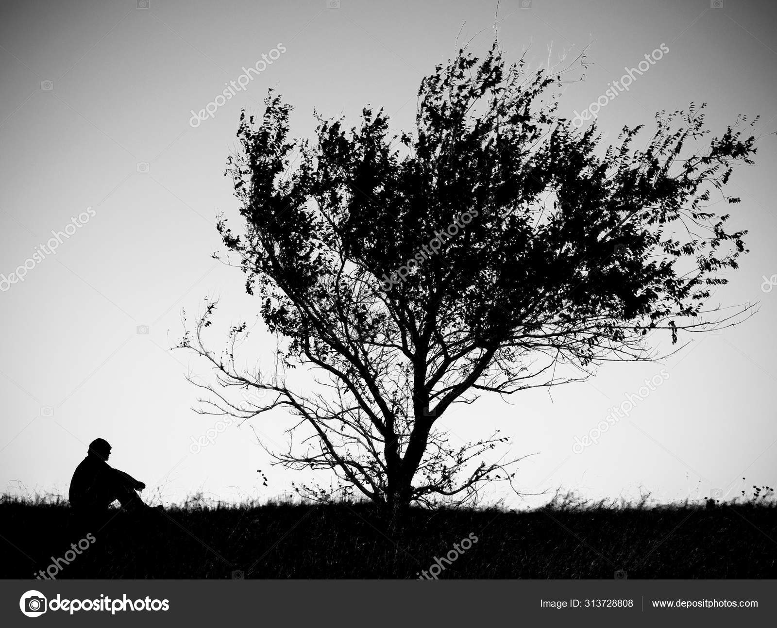 Man Sitting Tree Thinking Lone Tree Human Sitting Grass — Stock Photo ...
