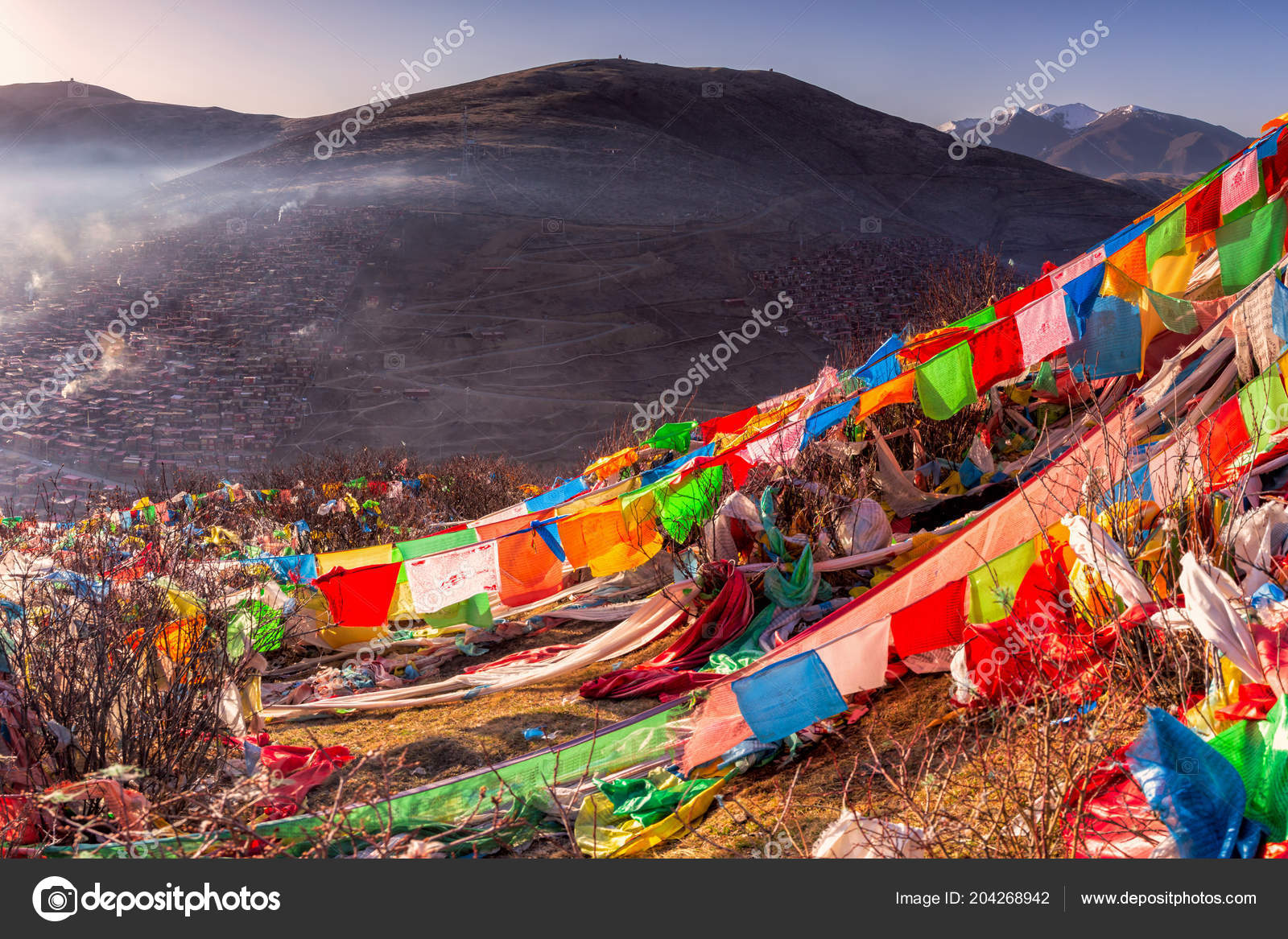 Red Monastery Home Larung Gar Buddhist Academy Sunshine Day Background ...