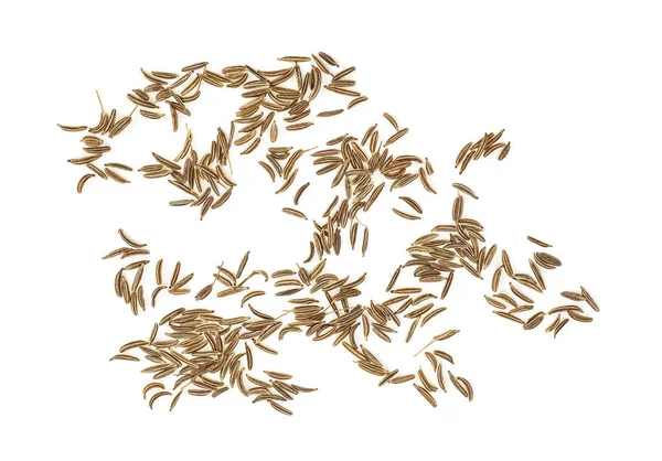 100,000 Cumin seeds Vector Images | Depositphotos