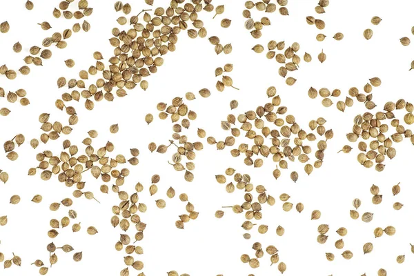 Sinónimos de semilla Stock Photos, Royalty Free Sinónimos de semilla ...