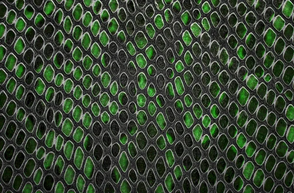 Green snake skin Images - Search Images on Everypixel