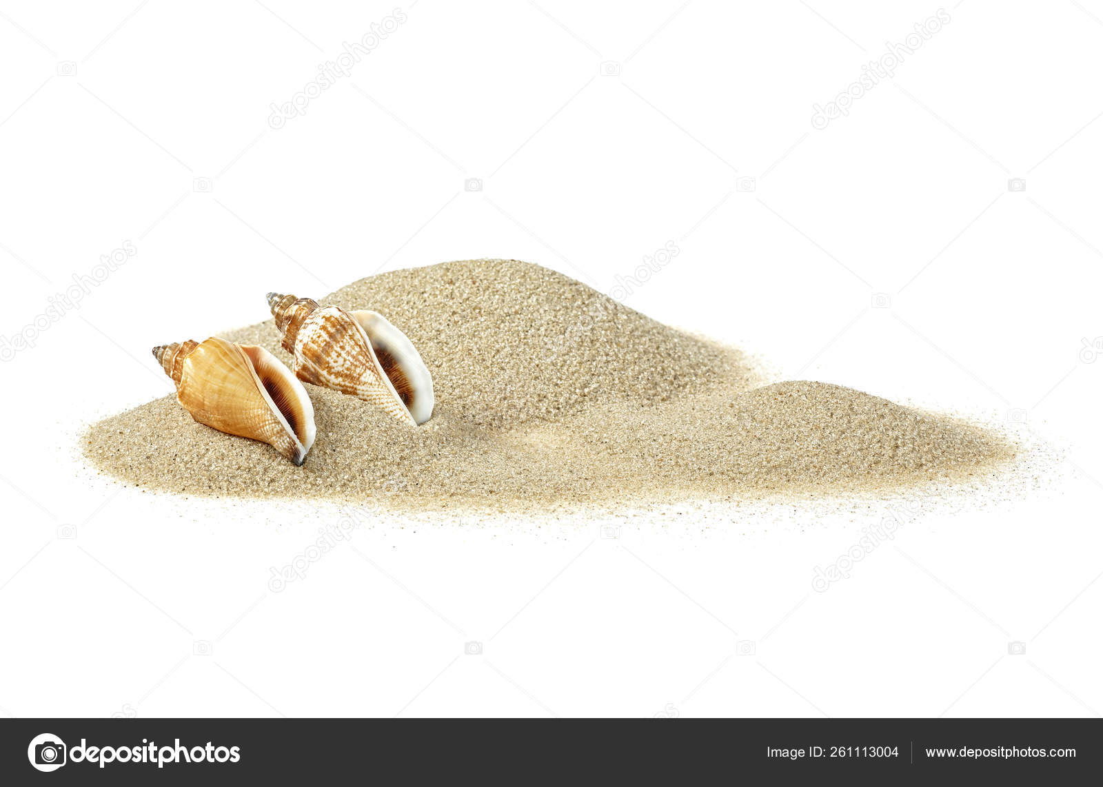 Sea shells in sand pile isolated on white background — Stock Photo ...