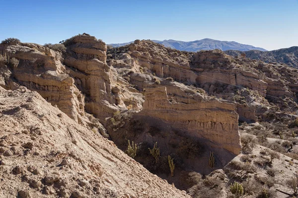 Poronga Stock Photos, Royalty Free Poronga Images | Depositphotos®