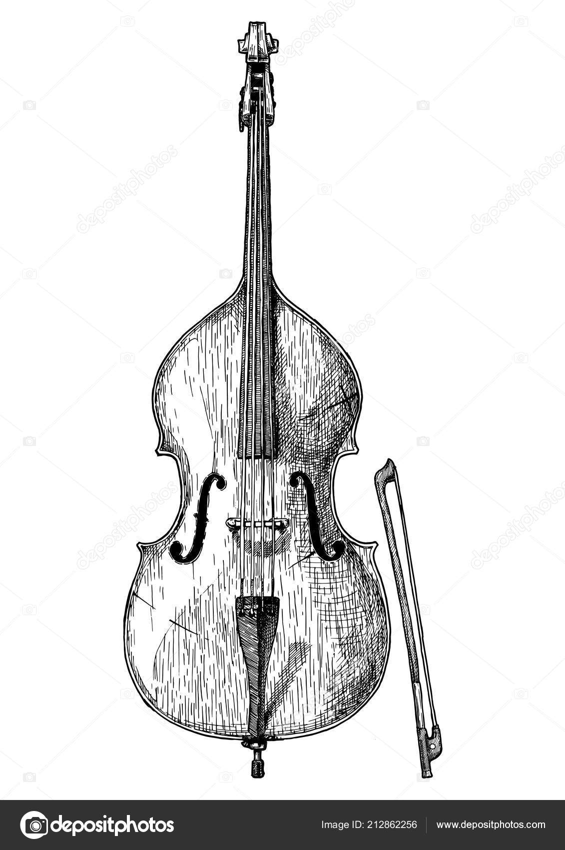 Upright Bass Drawing