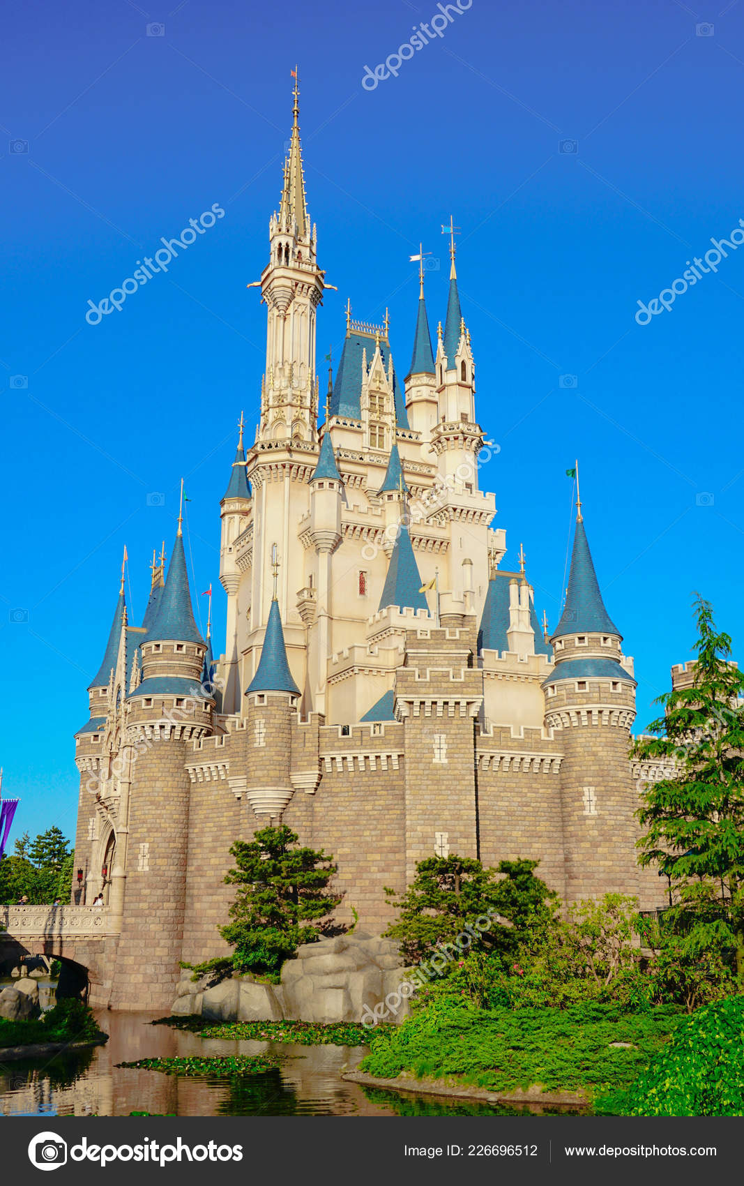Cinderella Castle Cartoon