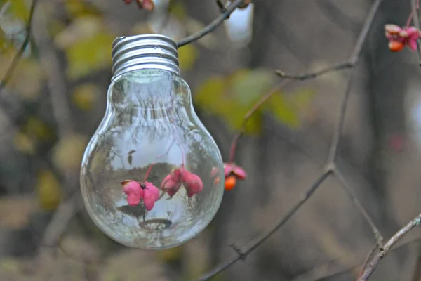 light bulb with flowers in it hanging from the top - Stock Image ...