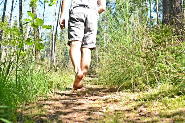 Close-up on the feet - walks across a pebble path in the woods and ...