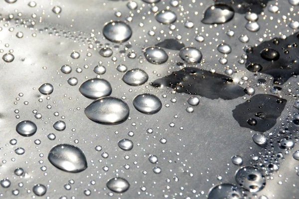 Drops of water collect on a plastic wrap after a rain and reflect the ...