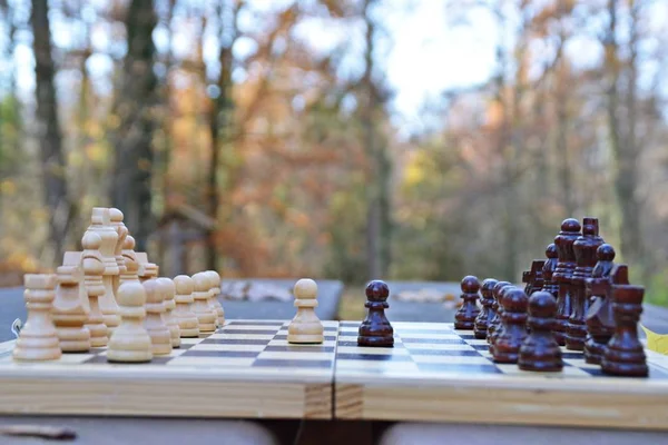 Chess in the wild Stock Photos, Royalty Free Chess in the wild Images ...