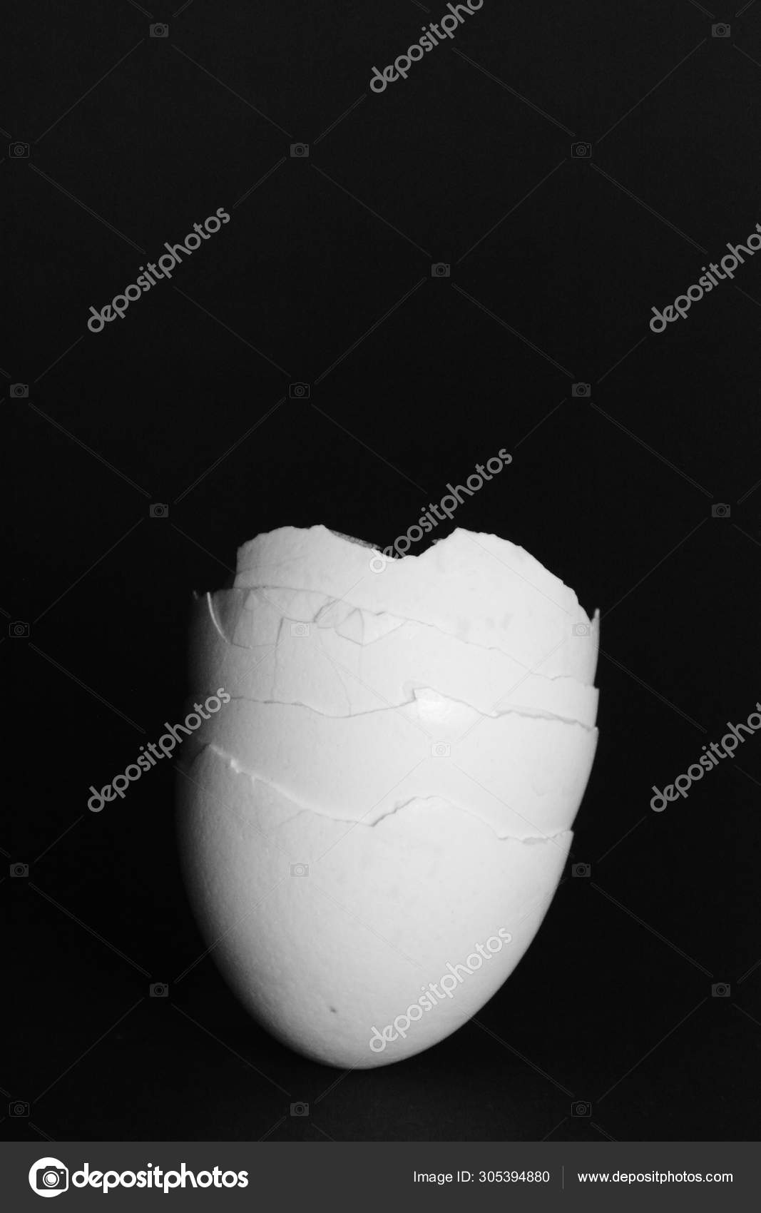 Half Egg Shells White Chicken Eggs Stacked Each Other Stand — Stock ...