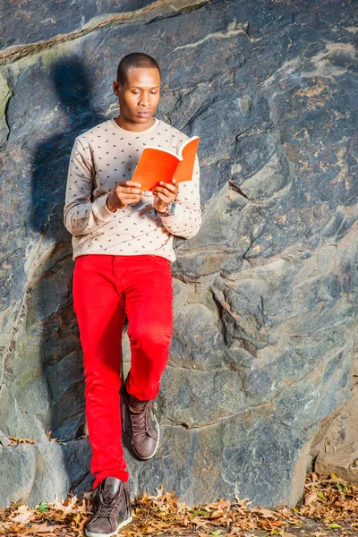 Man Reading Outside. Dressing in cream, patterned, collarless sweater ...