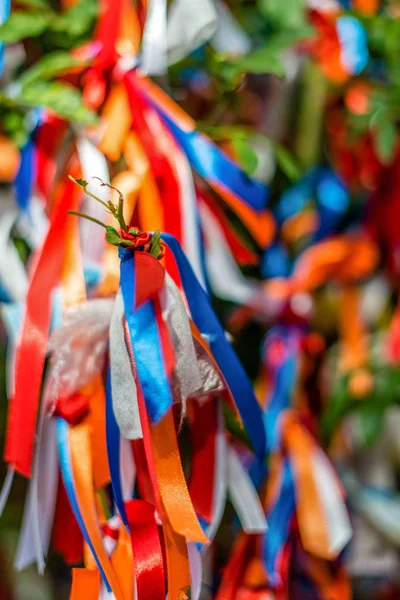 Wish tree Stock Photos, Royalty Free Wish tree Images | Depositphotos