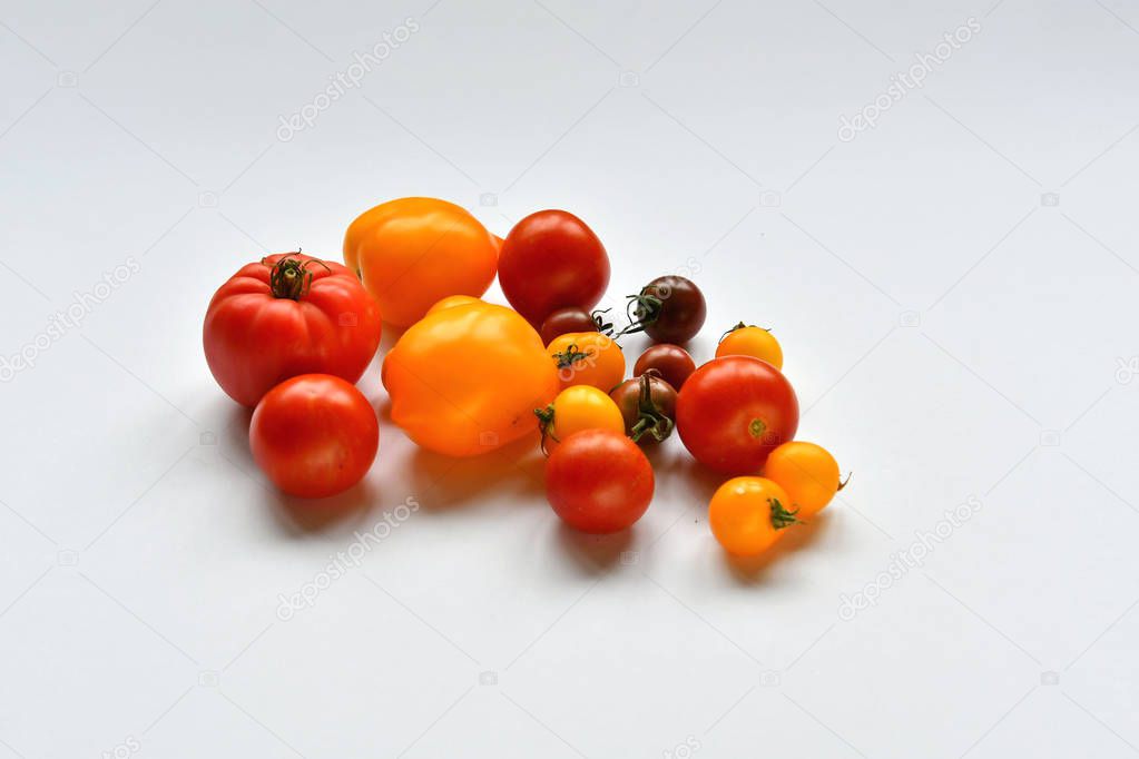 Cosecha de otoño. Tomates rojos y amarillos sobre fondo blanco. 2024