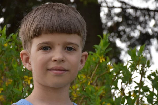 Child mod Stock Photos, Royalty Free Child mod Images | Depositphotos