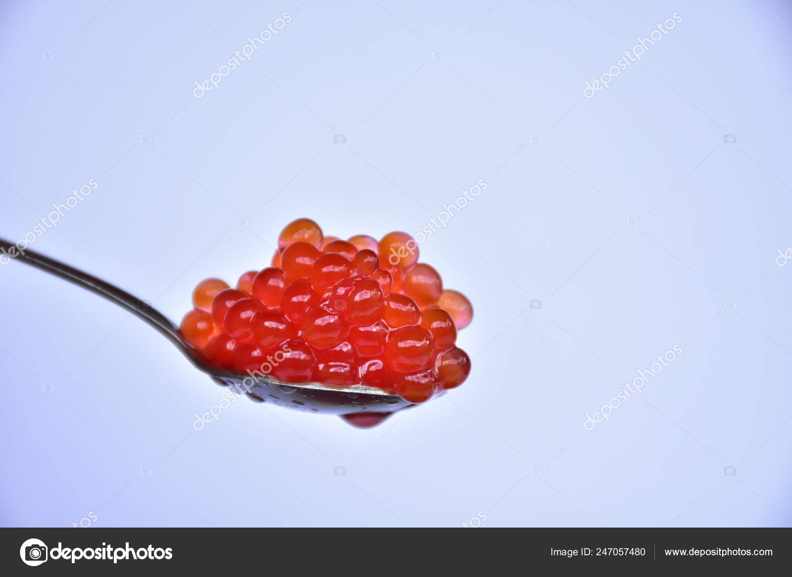 Red Caviar Fish — Stock Photo © GalinkaLB #247057480