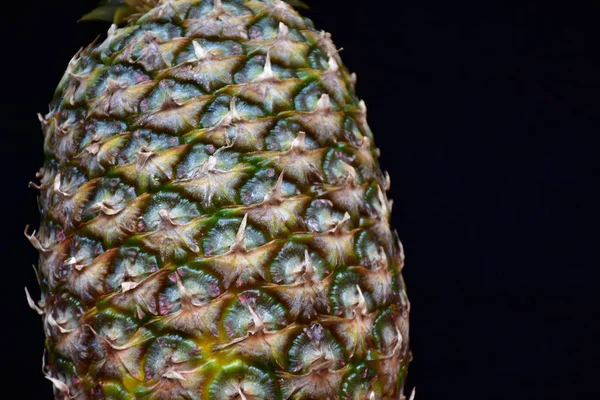 Pineapple stem Stock Photos, Royalty Free Pineapple stem Images ...