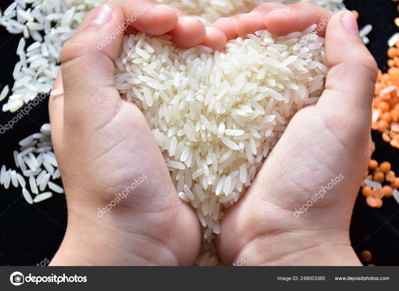 White Rice Hands Close — Stock Photo © GalinkaLB #248003360