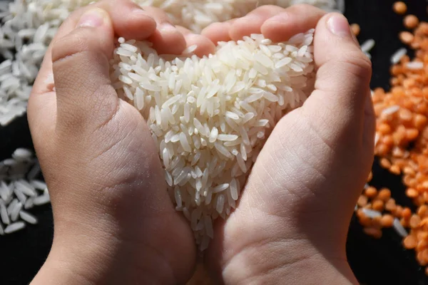 White Rice Hands Close — Stock Photo © GalinkaLB #248003360