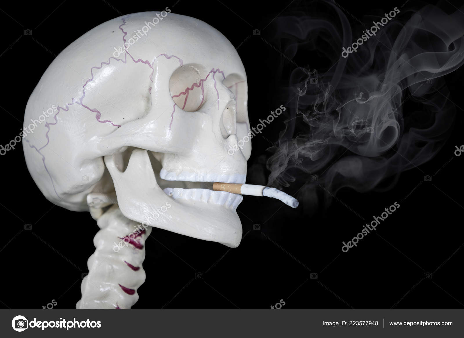 Skeleton Smoking Cigarette