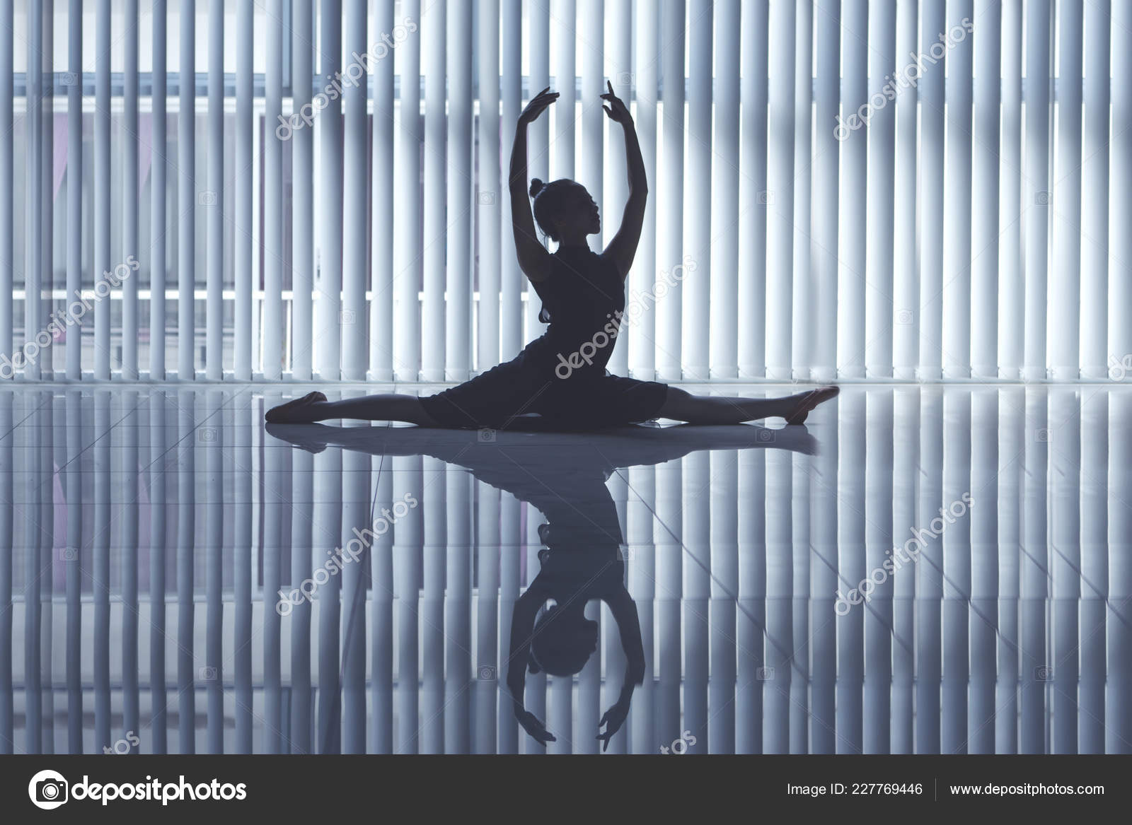 Dancer Silhouette Split