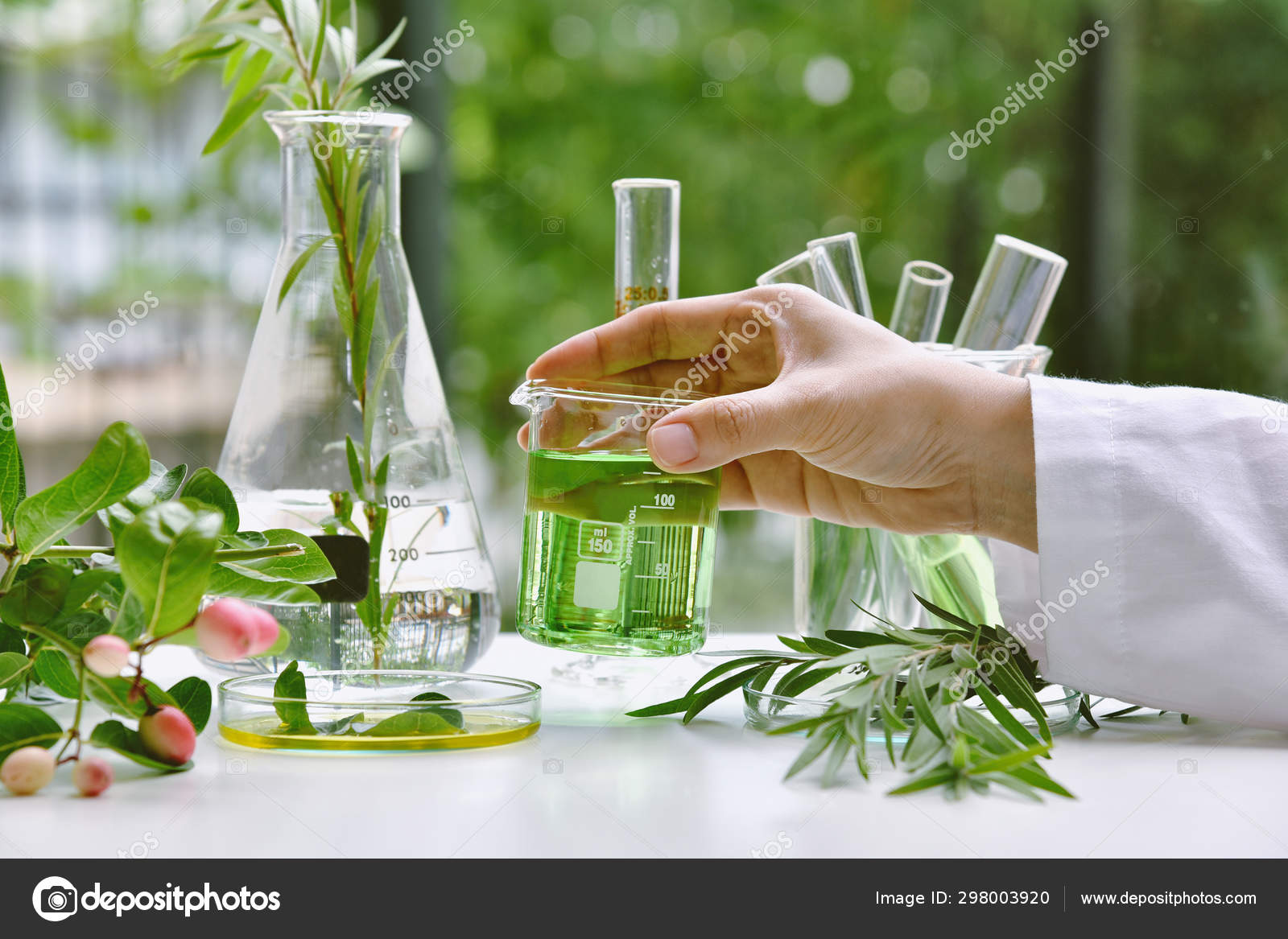 Scientist with natural drug research, Natural organic and scientific ...