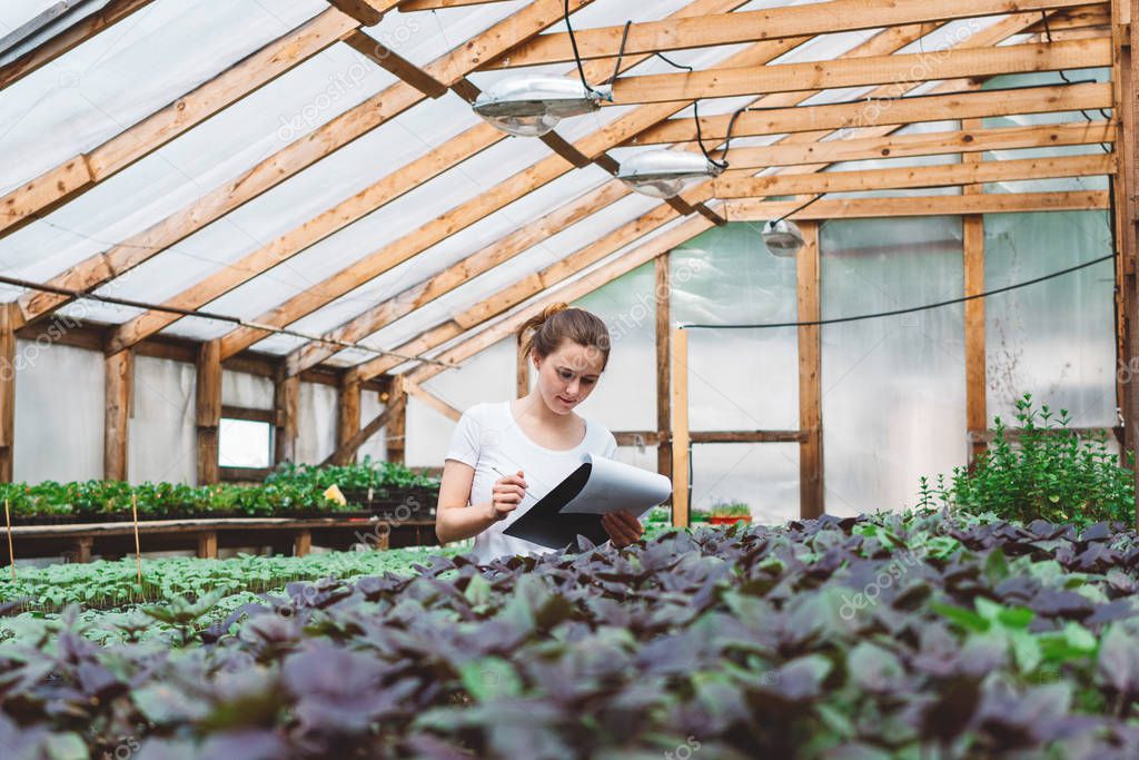 Mujer joven agrónoma inspeccionando plantas en invernadero. Jardinero femenino trabajando en el ...