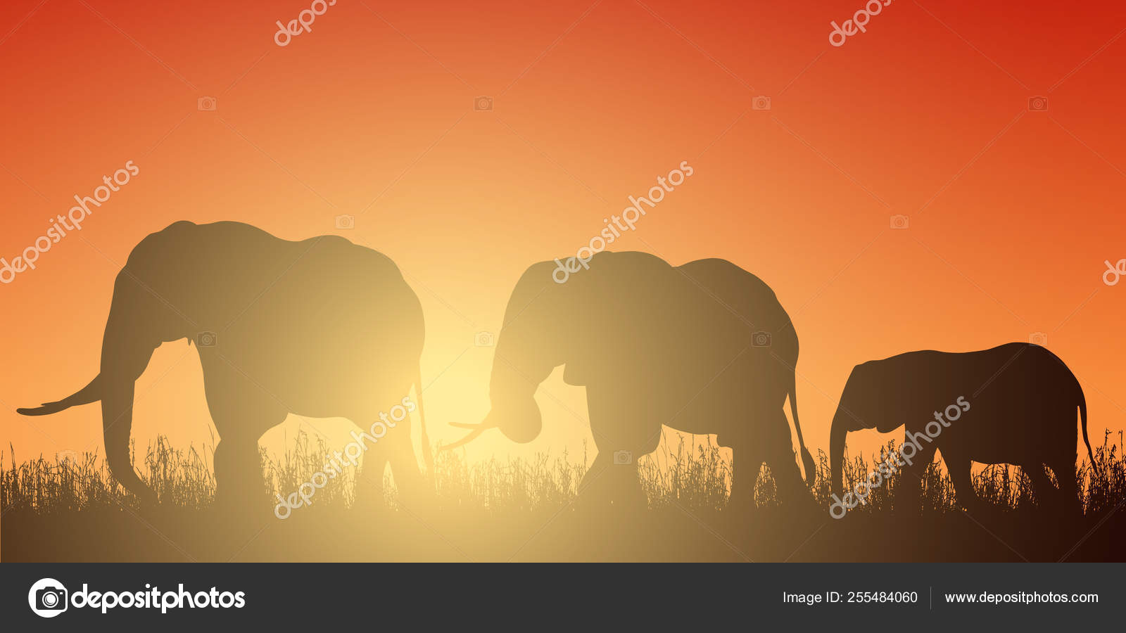 Realistic illustration with silhouette of three elephants on safari in ...