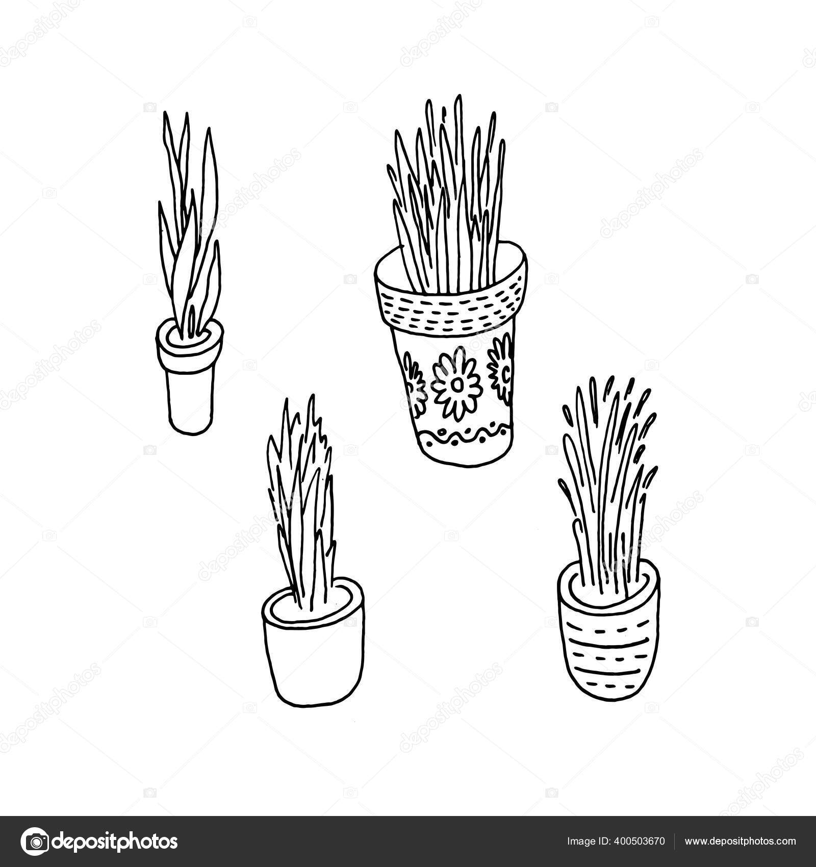 Image vectorielle Livre Colorier Croquis Ensemble Fleurs Pots par ...