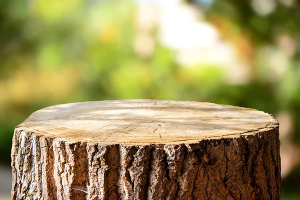 Troncos Stock Photos, Royalty Free Troncos Images | Depositphotos