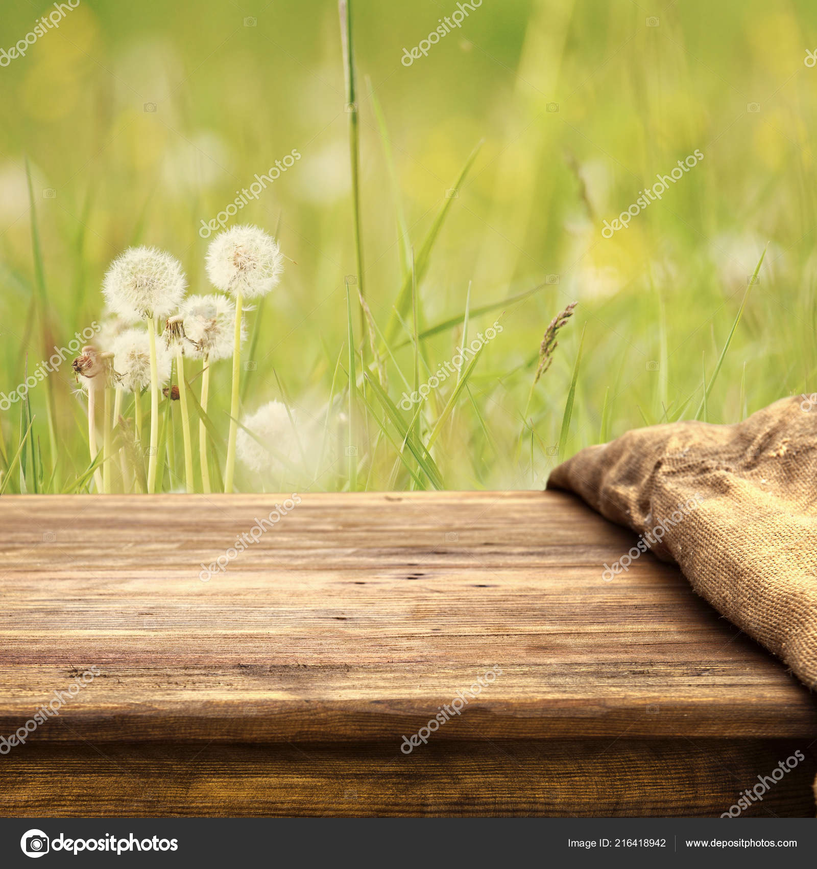 Empty Wooden Table Natural Background — Stock Photo © kwasny222 #216418942