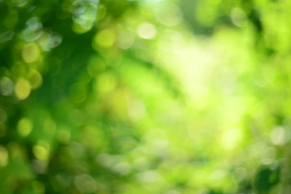Abstract Green Natural Bokeh Background — Stock Photo © kwasny222 ...