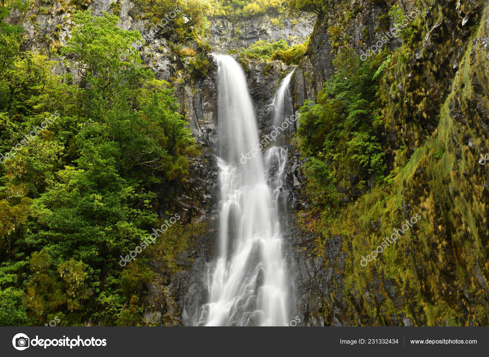 Beautiful Risco Waterfall Madeira Island — Stock Photo © kwasny222 ...