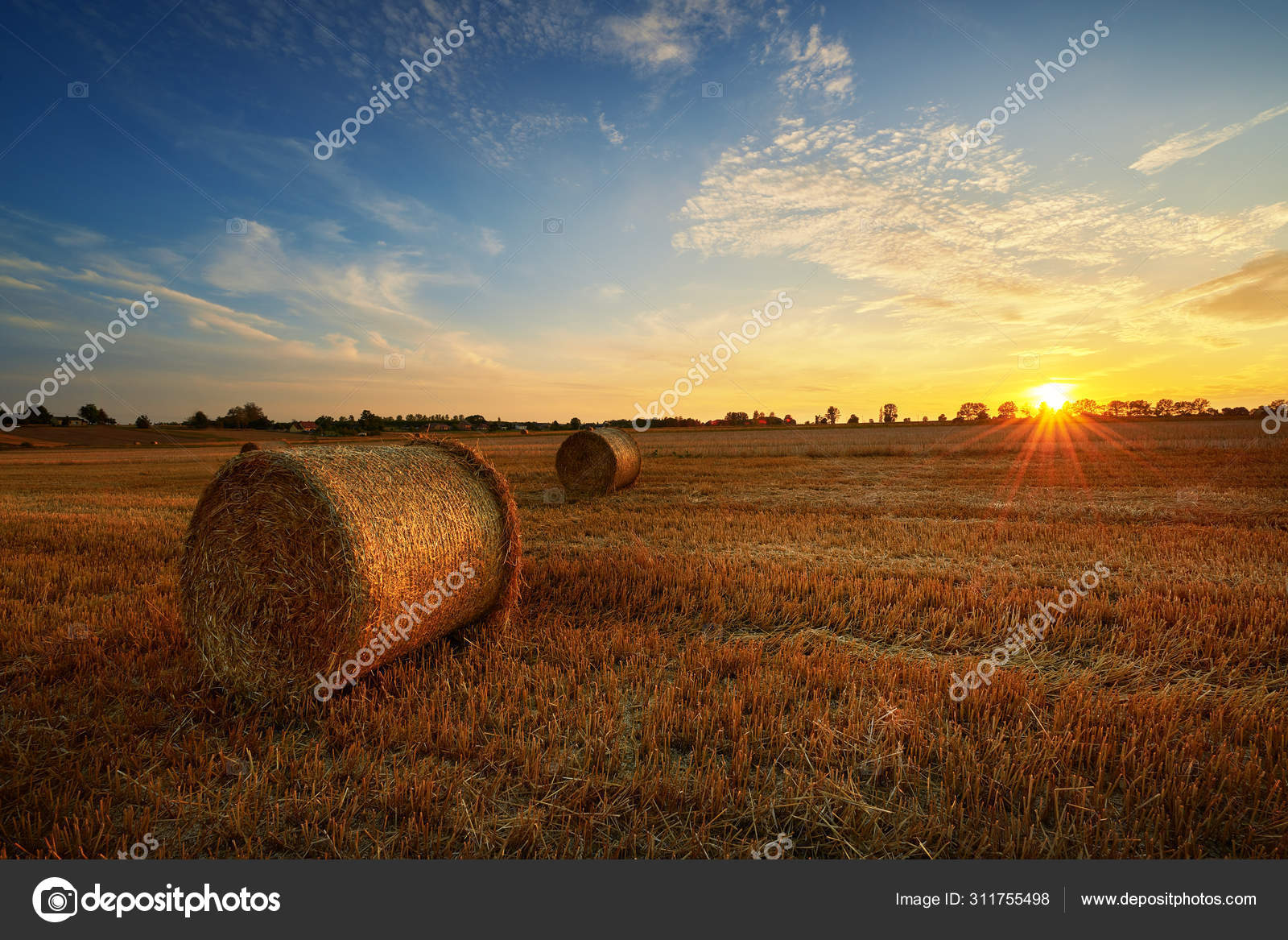 Beautiful summer sunset over fields with hay bales Stock Photo by ...