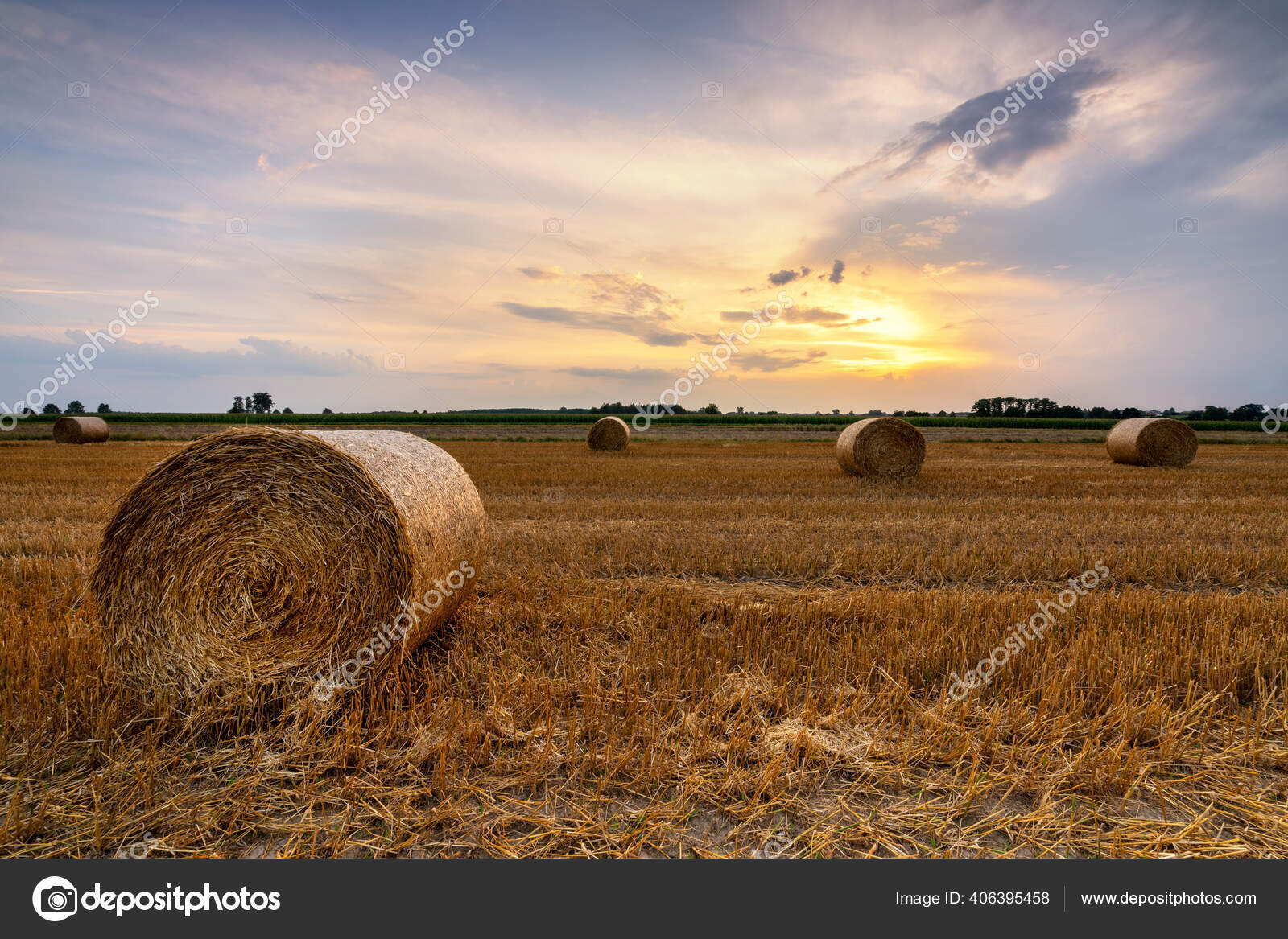 Beautiful Summer Sunrise Fields Hay Bales — Stock Photo © kwasny222 ...