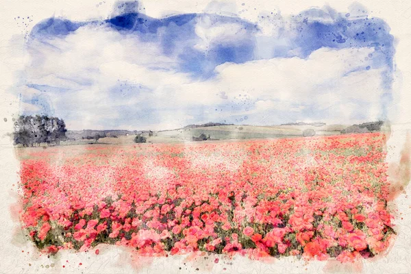 1,931 Poppy field background Stock Illustrations | Depositphotos