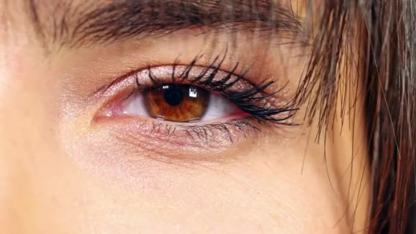 Languid look Stock Videos, Royalty Free Languid look Footages ...