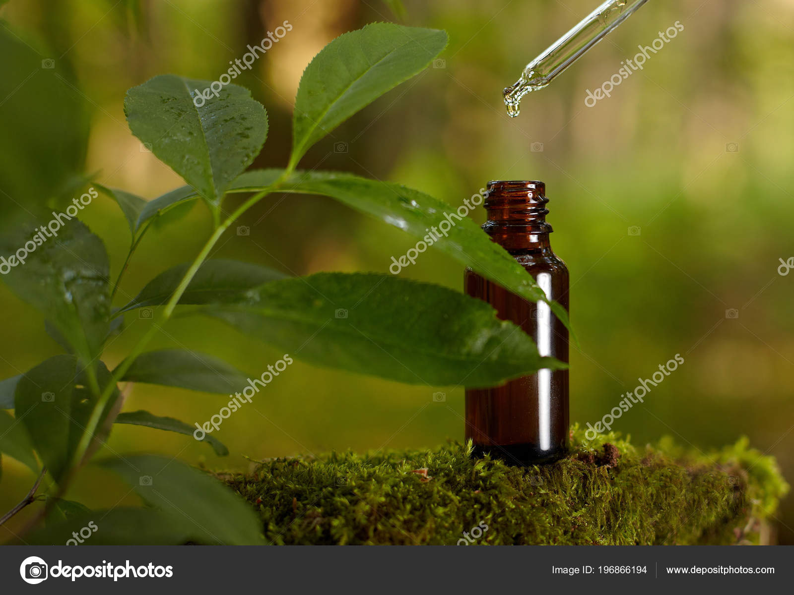 Essential Oil Falling Dropper Natural Organic Herbal Essence Glass ...