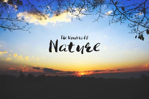 Wonders Of Nature Wallpapers