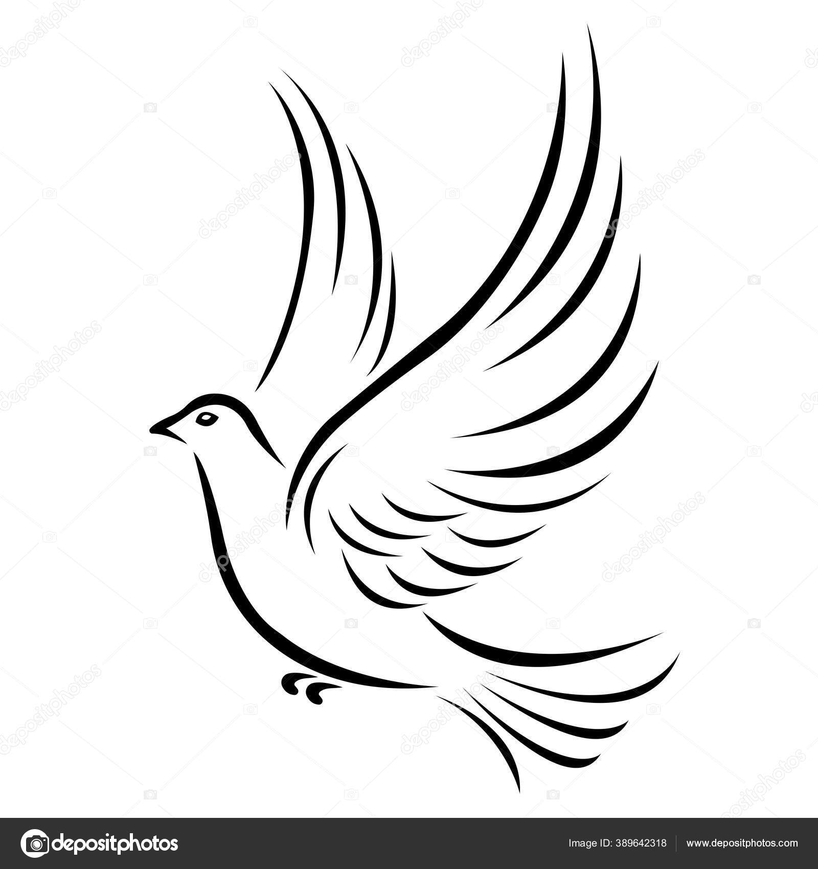 Dove Bird Outline