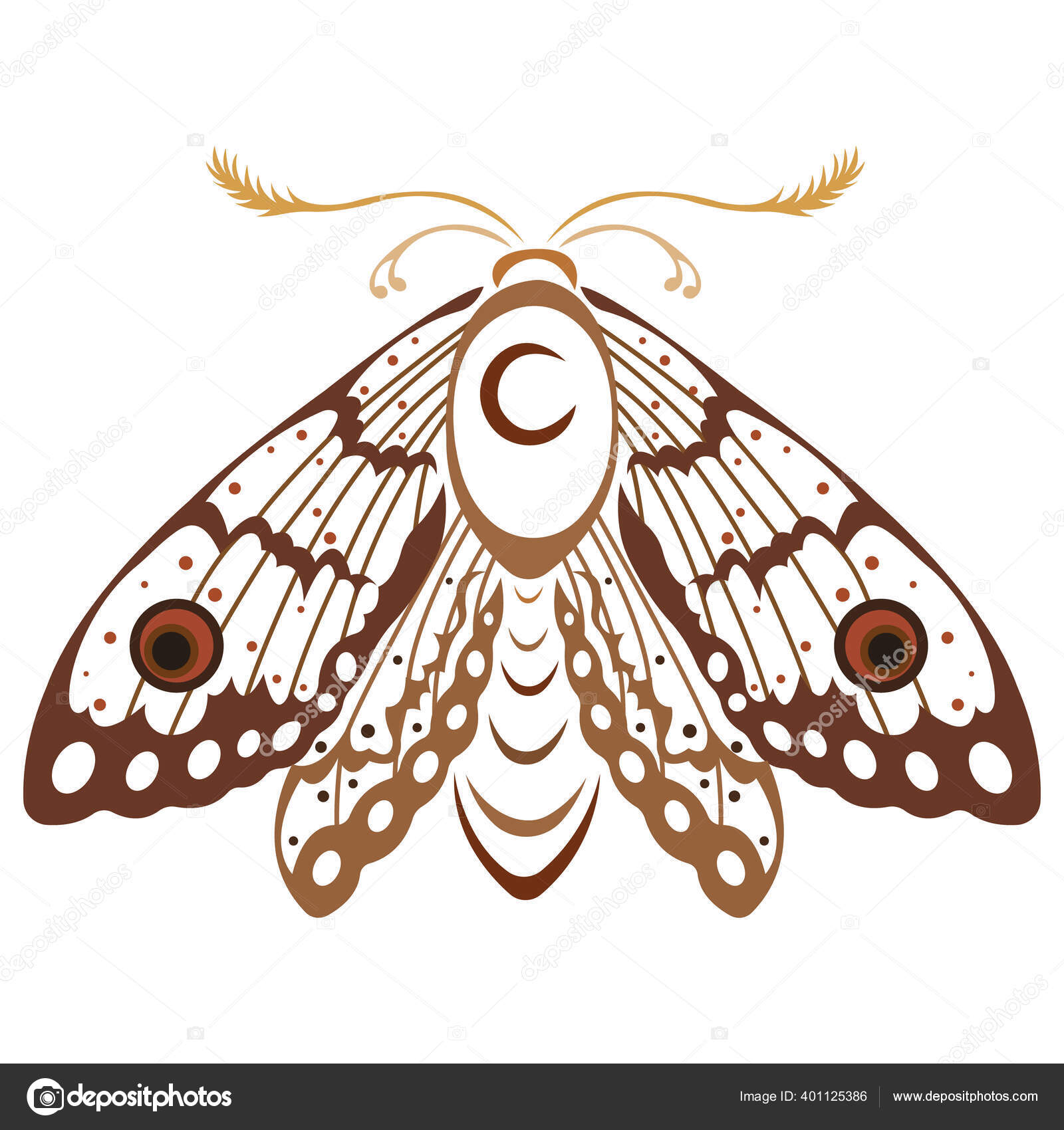 Moth Silhouette Different Brown Lines Flat Style Design Suitable Tattoo ...
