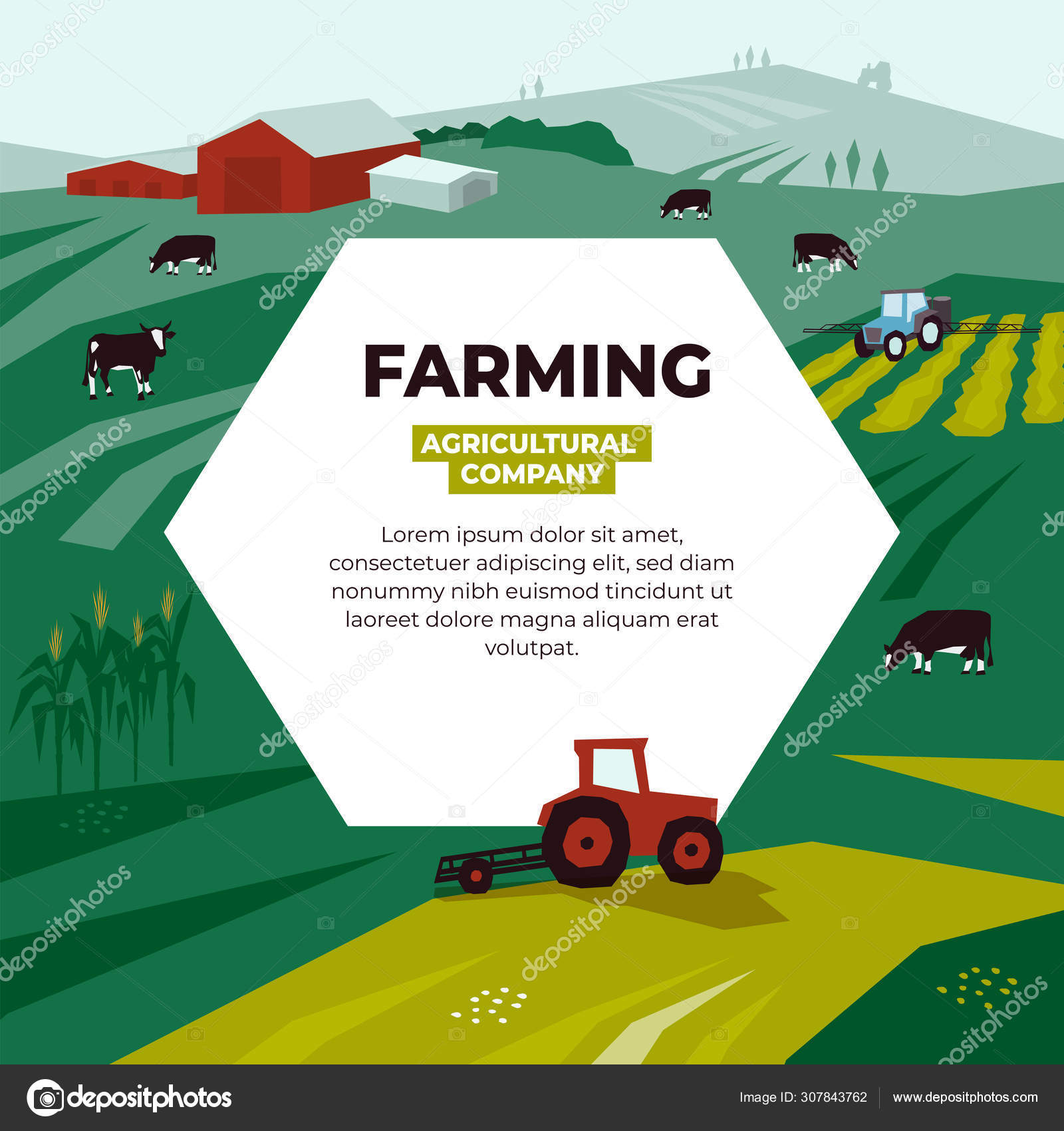 Farming template with tractors, cows, farm land Stock Vector by ...